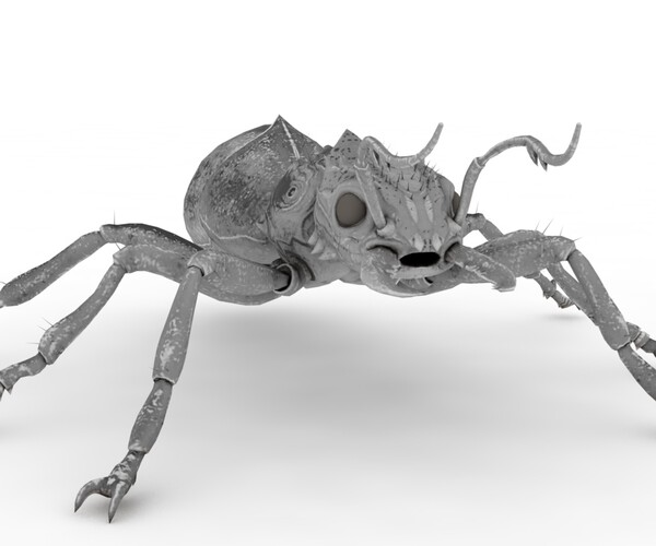 ArtStation - Ant | Game Assets