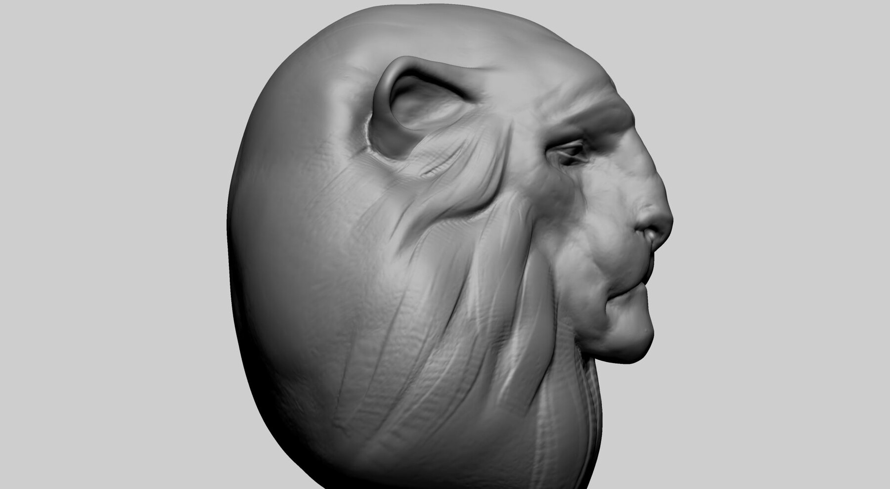 Artstation Creature Head R Resources