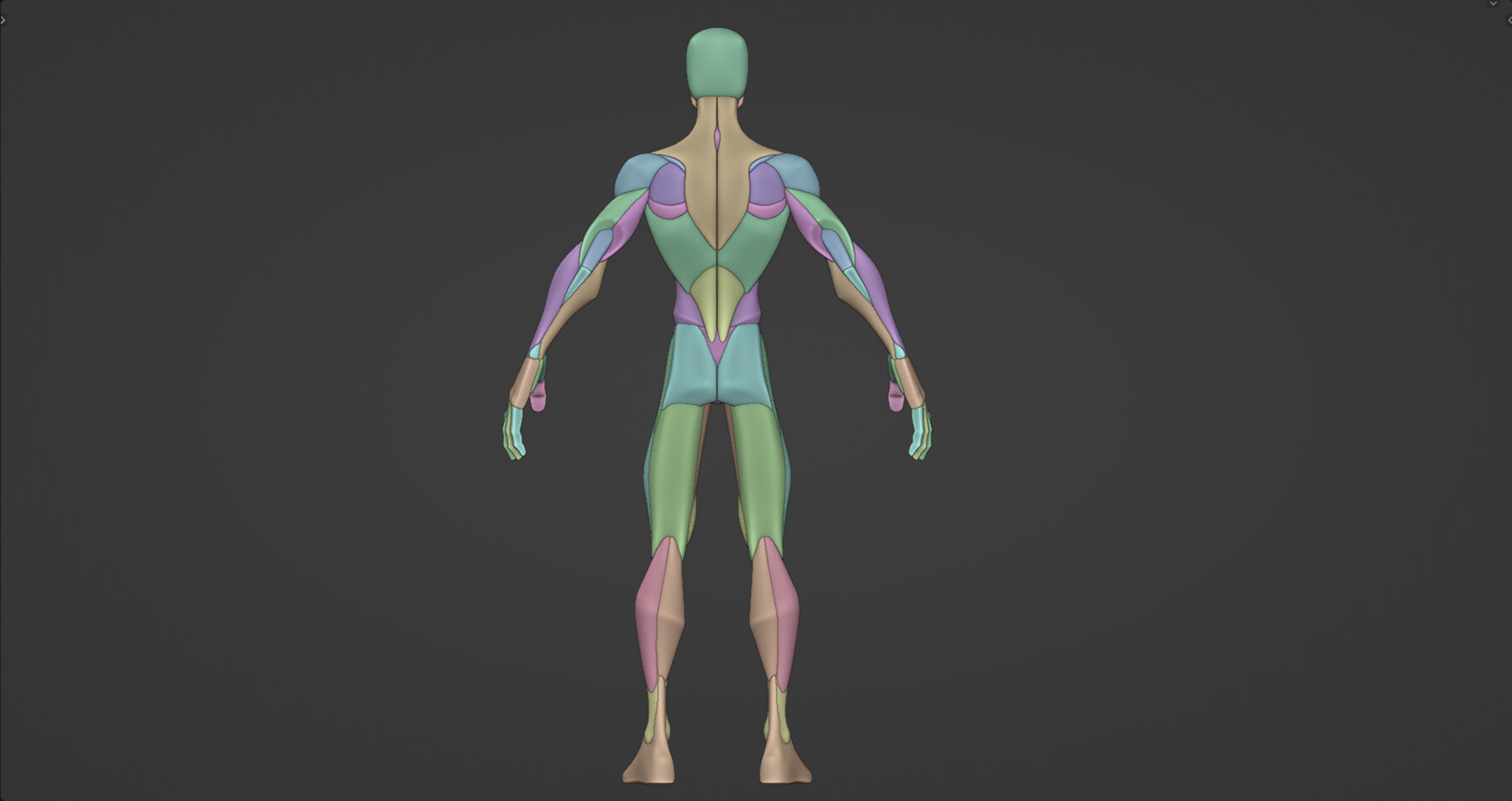 ArtStation - Stylized Male Anatomy Blockout V2 | Resources