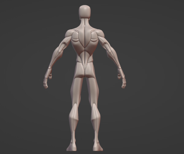 ArtStation - Stylized Male Anatomy Blockout V2 | Resources