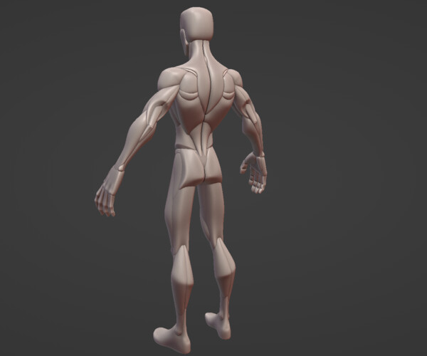 ArtStation - Stylized Male Anatomy Blockout V2 | Resources