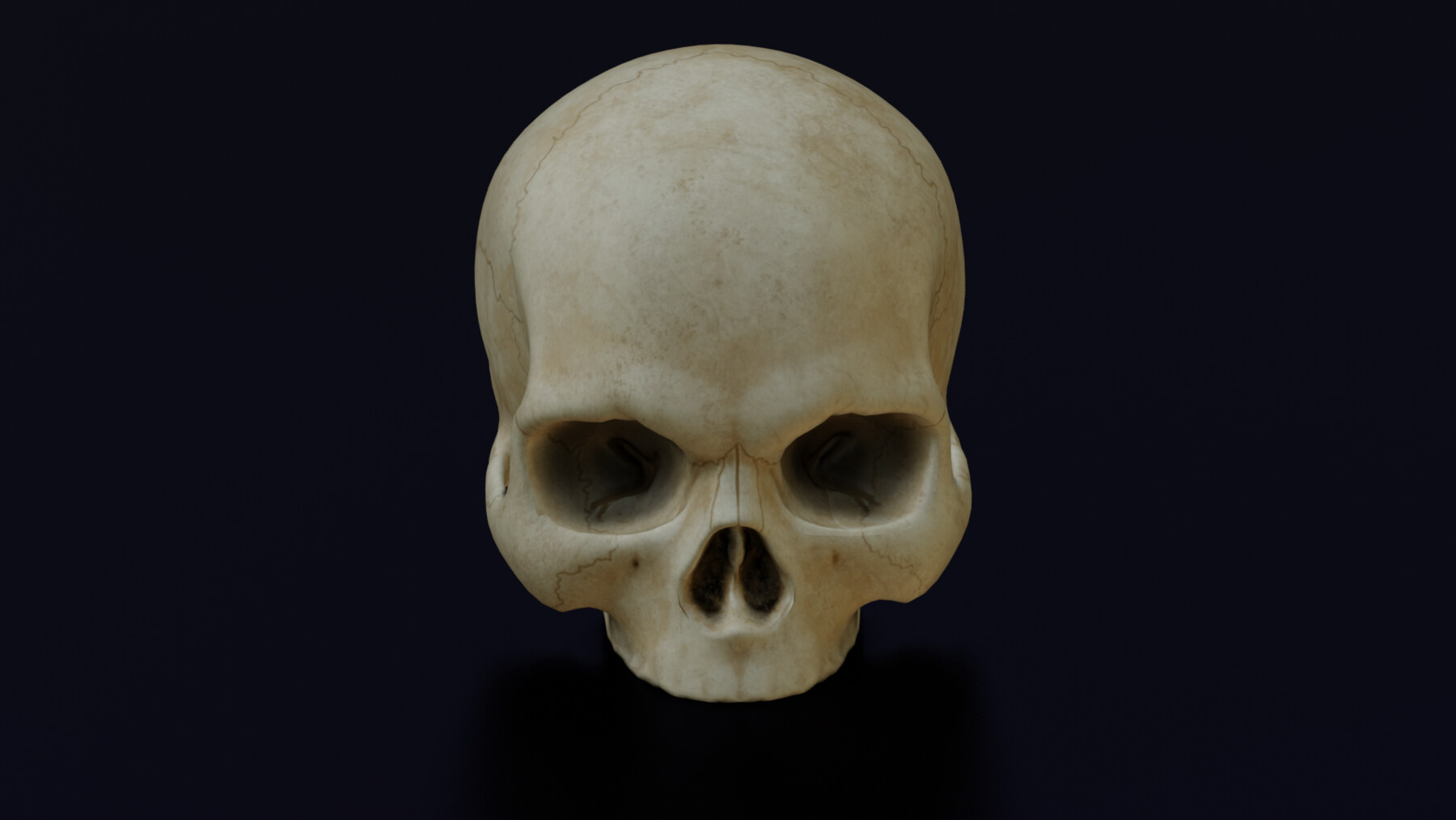 ArtStation - HUMAN HEAD SKULL LOW POLY GAME READY | Game Assets