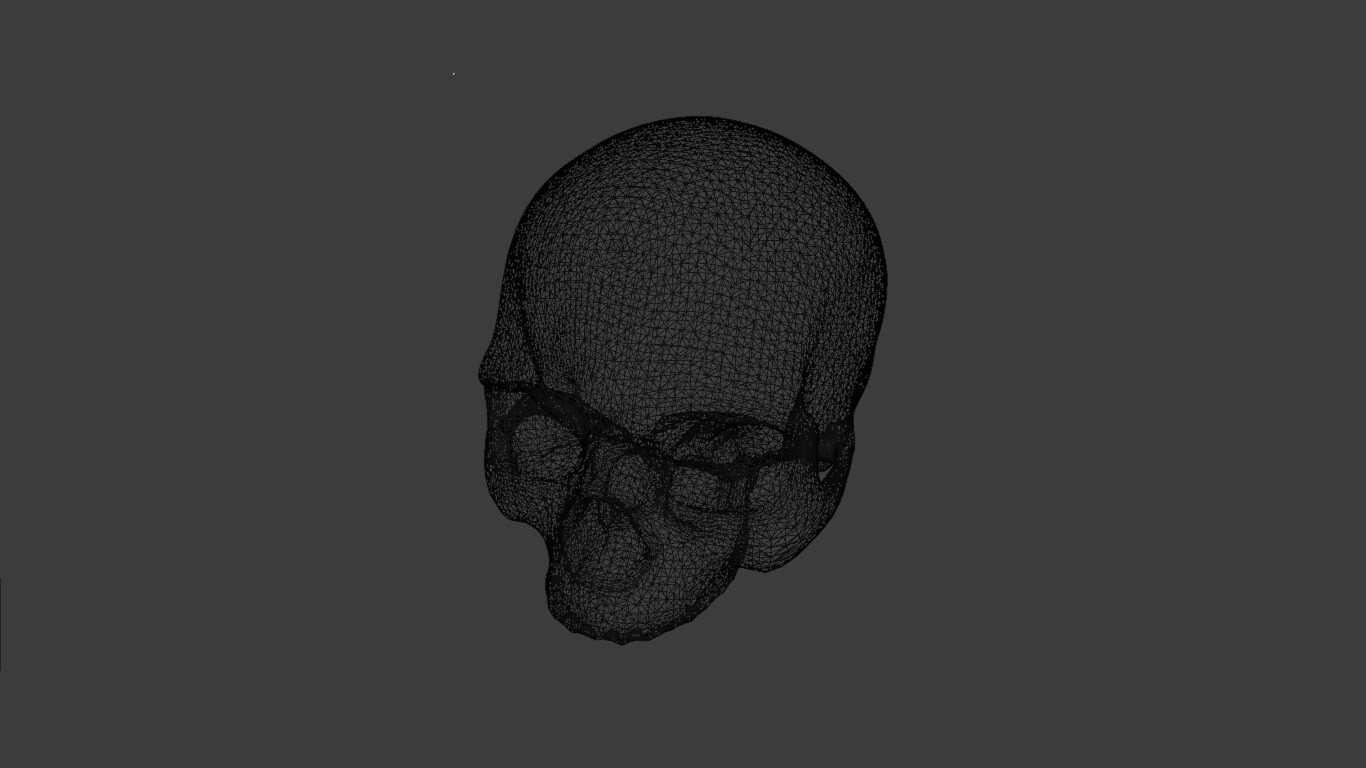 ArtStation - HUMAN HEAD SKULL LOW POLY GAME READY | Game Assets