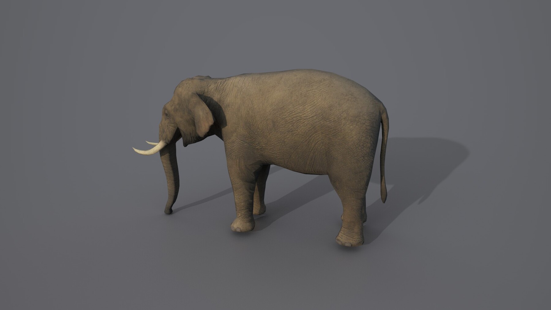 ArtStation - African Elephant | Game Assets