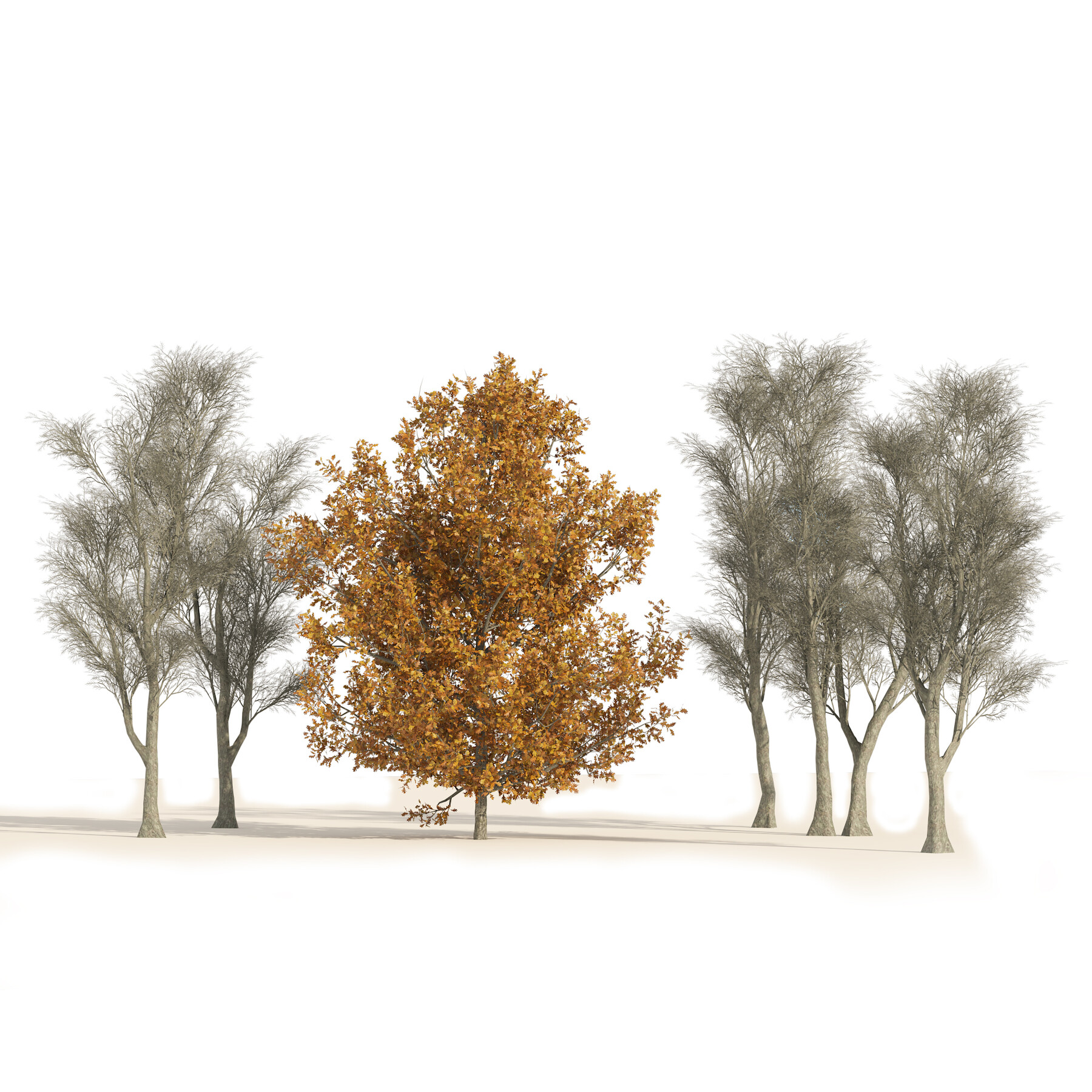 ArtStation - winter and fall oak trees | Resources