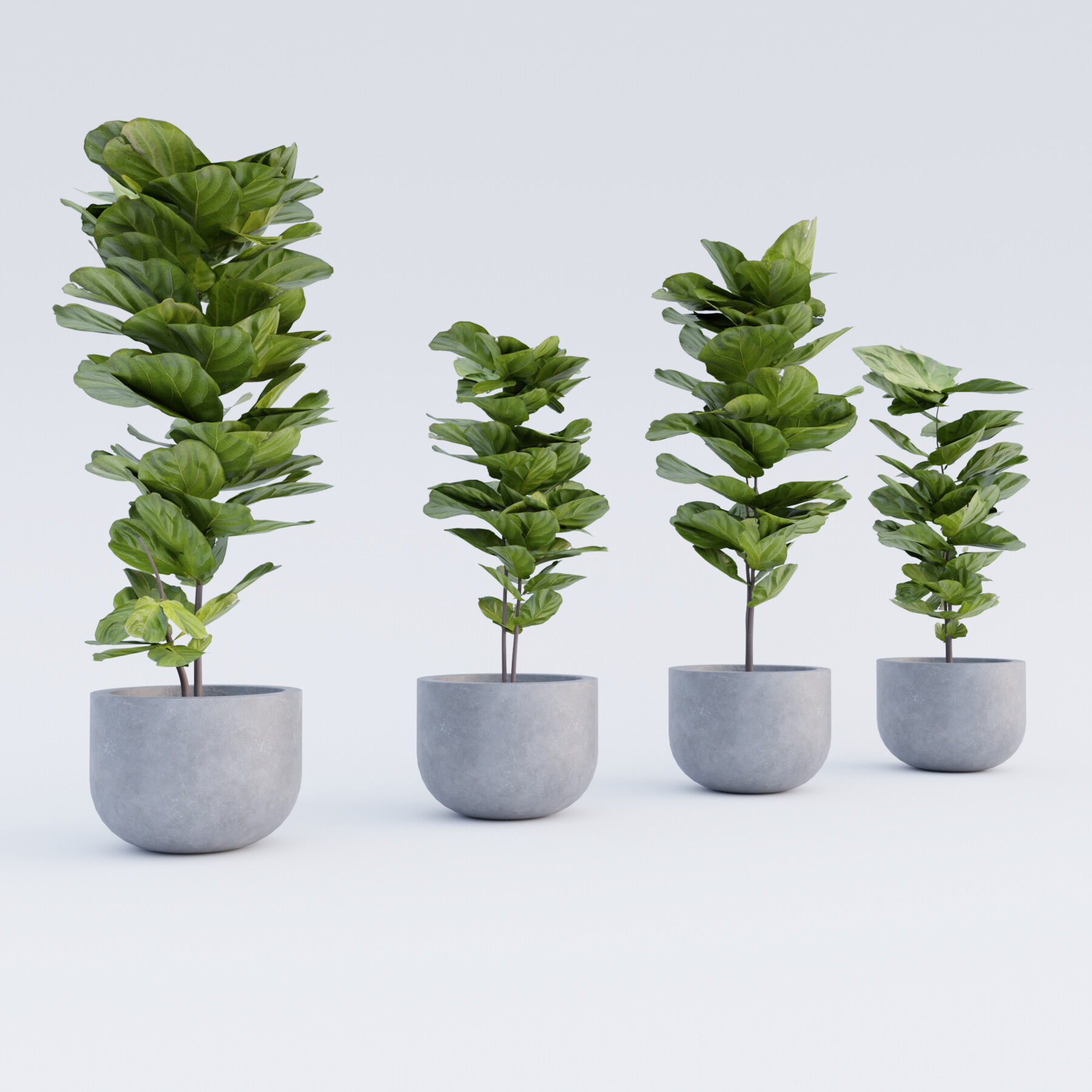 ArtStation - Fiddle Leaf Fig | Game Assets