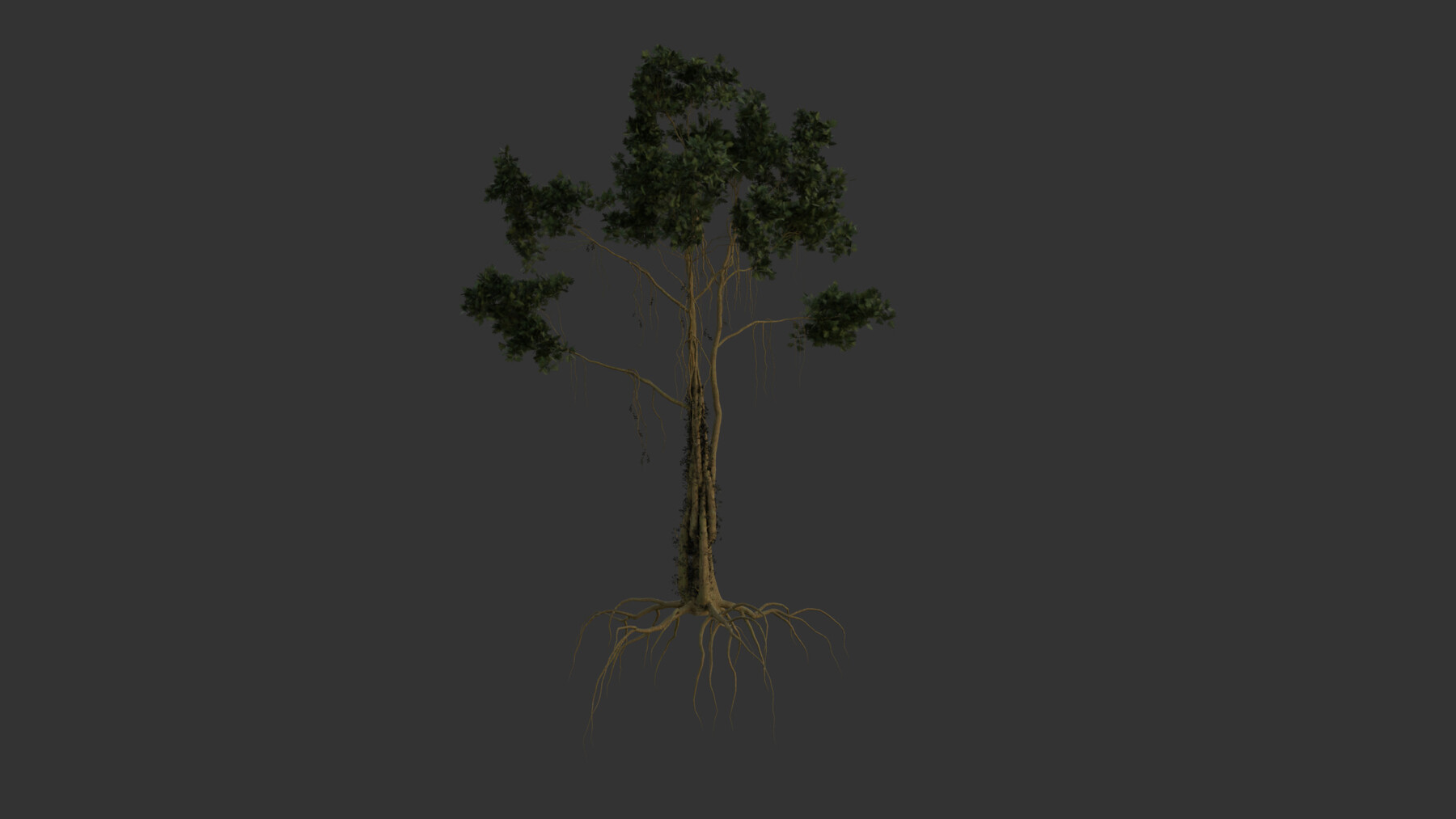 ArtStation - 3D Rimu Tree pack | Resources