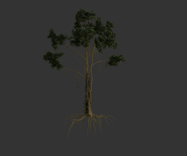 ArtStation - 3D Rimu Tree pack | Resources
