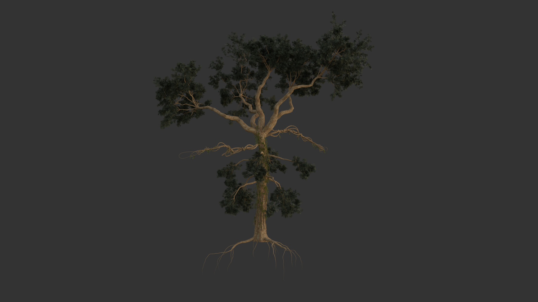 ArtStation - 3D Rimu Tree pack | Resources