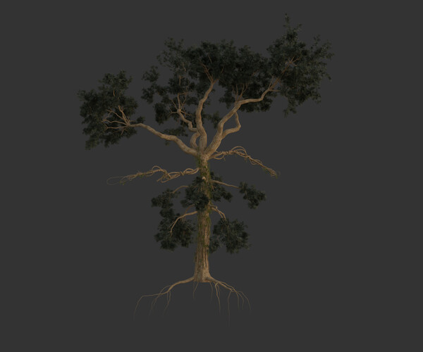 ArtStation - 3D Rimu Tree pack | Resources