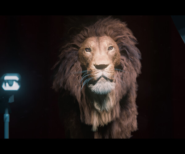 ArtStation - Lion Photorealistic Rigged 3d Blender 4K model | Game Assets