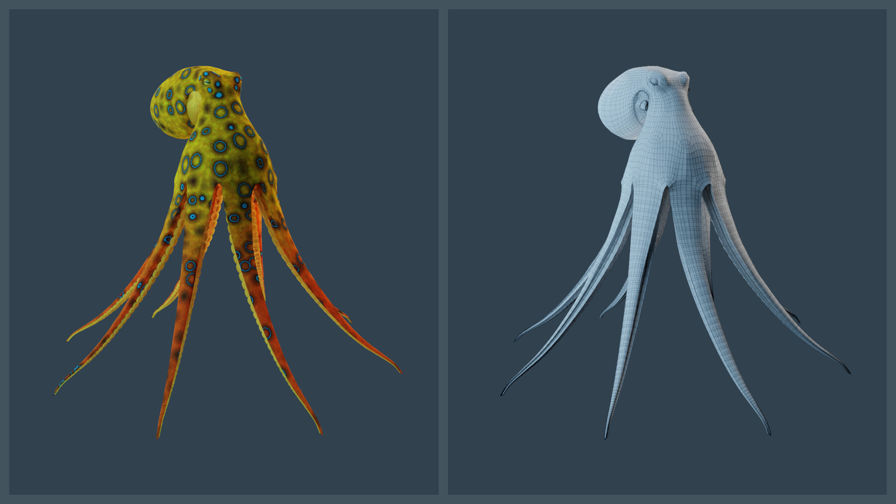 ArtStation - Animated Octopus- Blue-Ringed | Game Assets