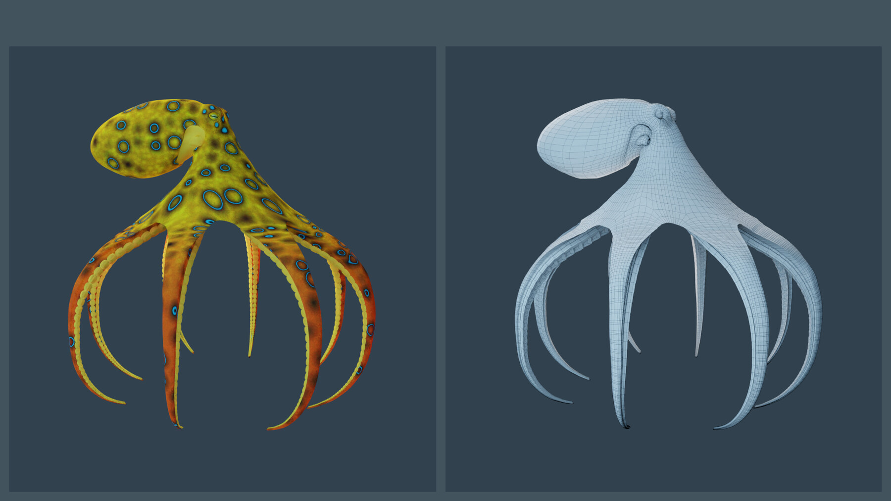 ArtStation - Animated Octopus- Blue-Ringed | Game Assets
