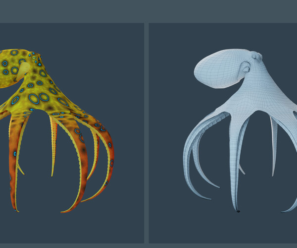 ArtStation - Animated Octopus- Blue-Ringed | Game Assets