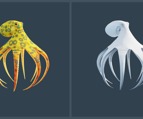 ArtStation - Animated Octopus- Blue-Ringed | Game Assets