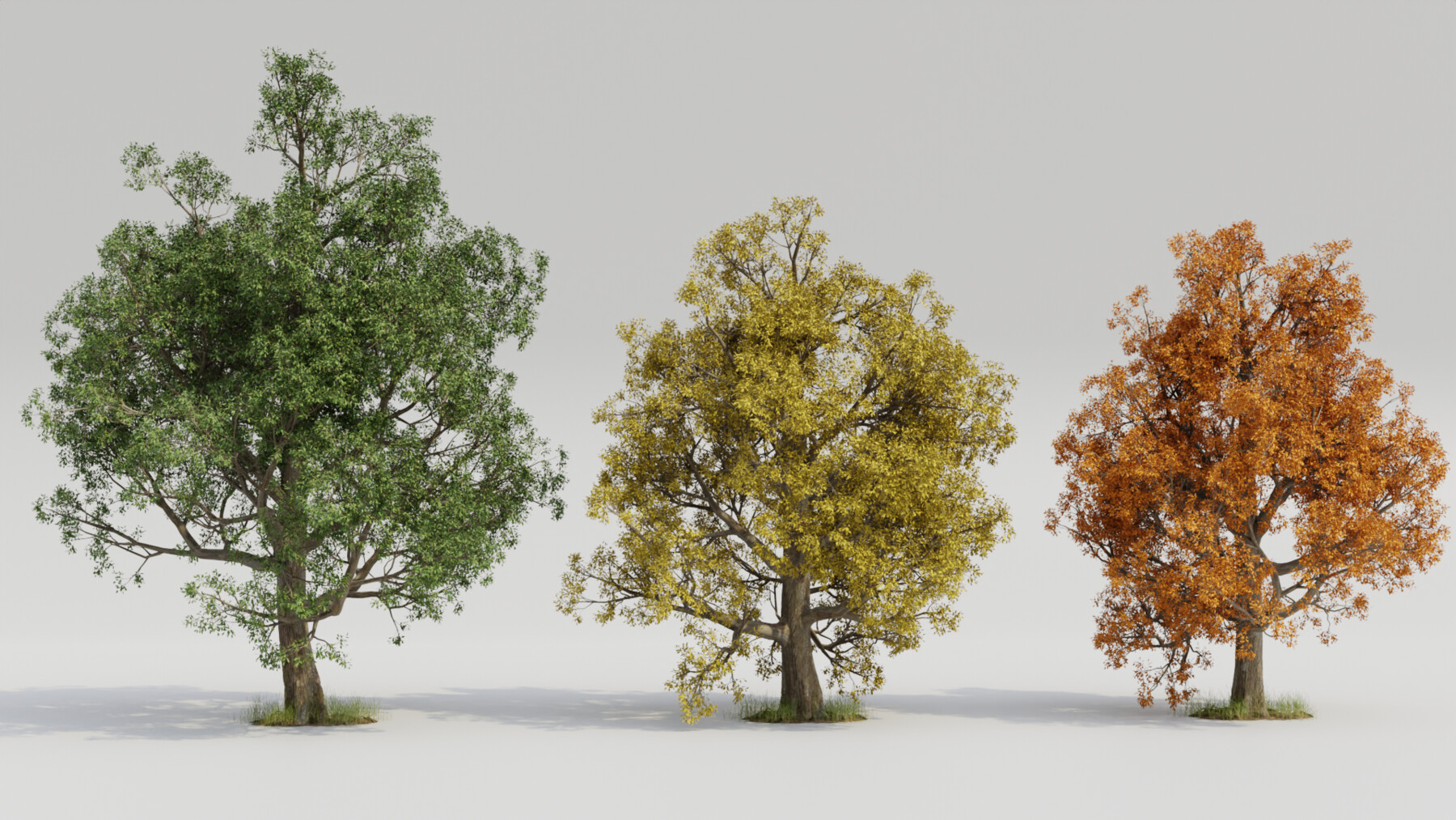 ArtStation - tree pack 3 Blender 3.x | Resources