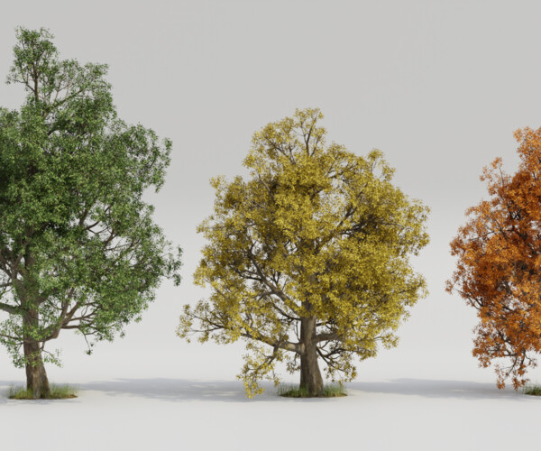 ArtStation - tree pack 3 Blender 3.x | Resources