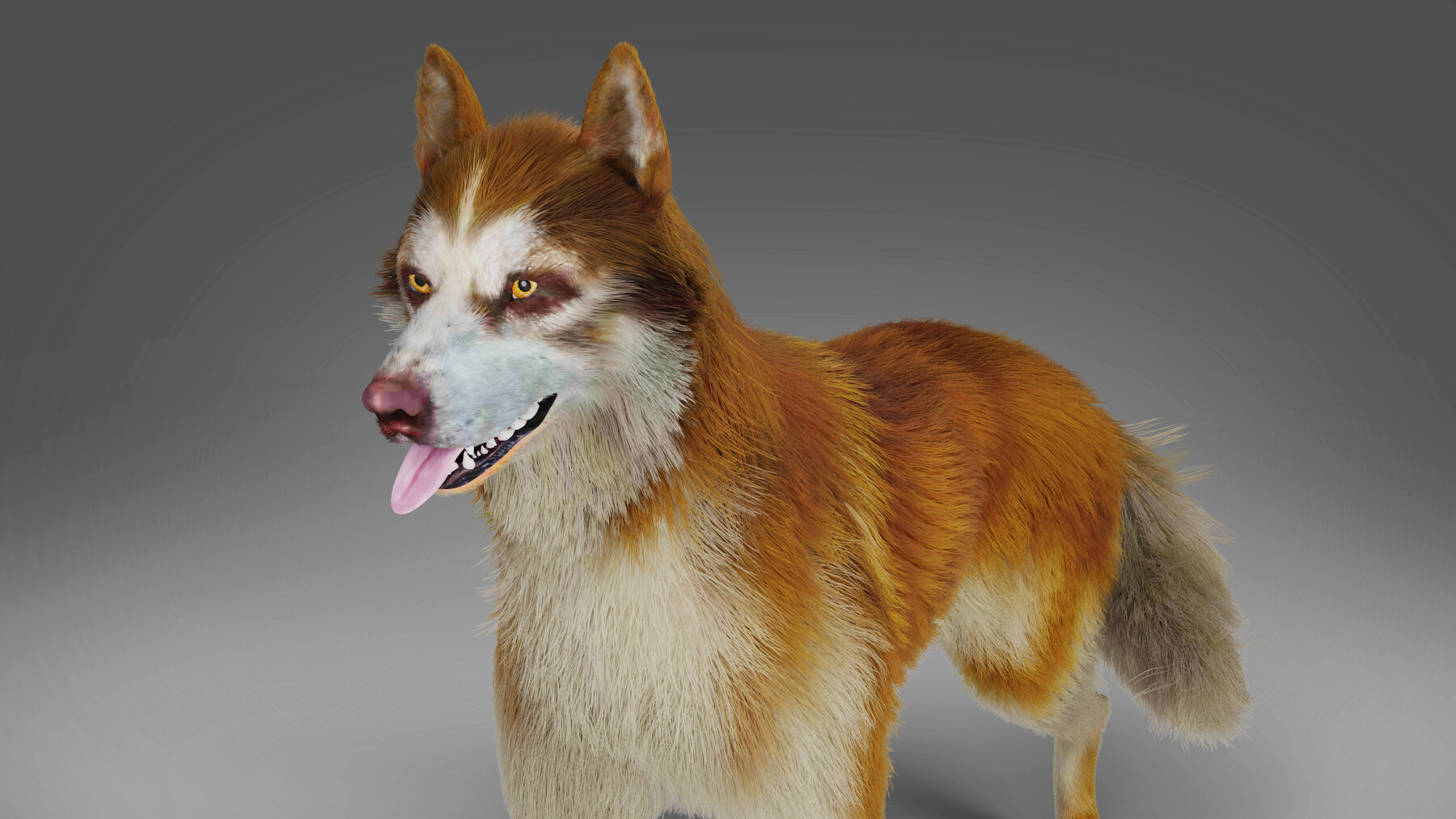 ArtStation - Fur Red Wolf Rigged and Animated in Blender | Game Assets