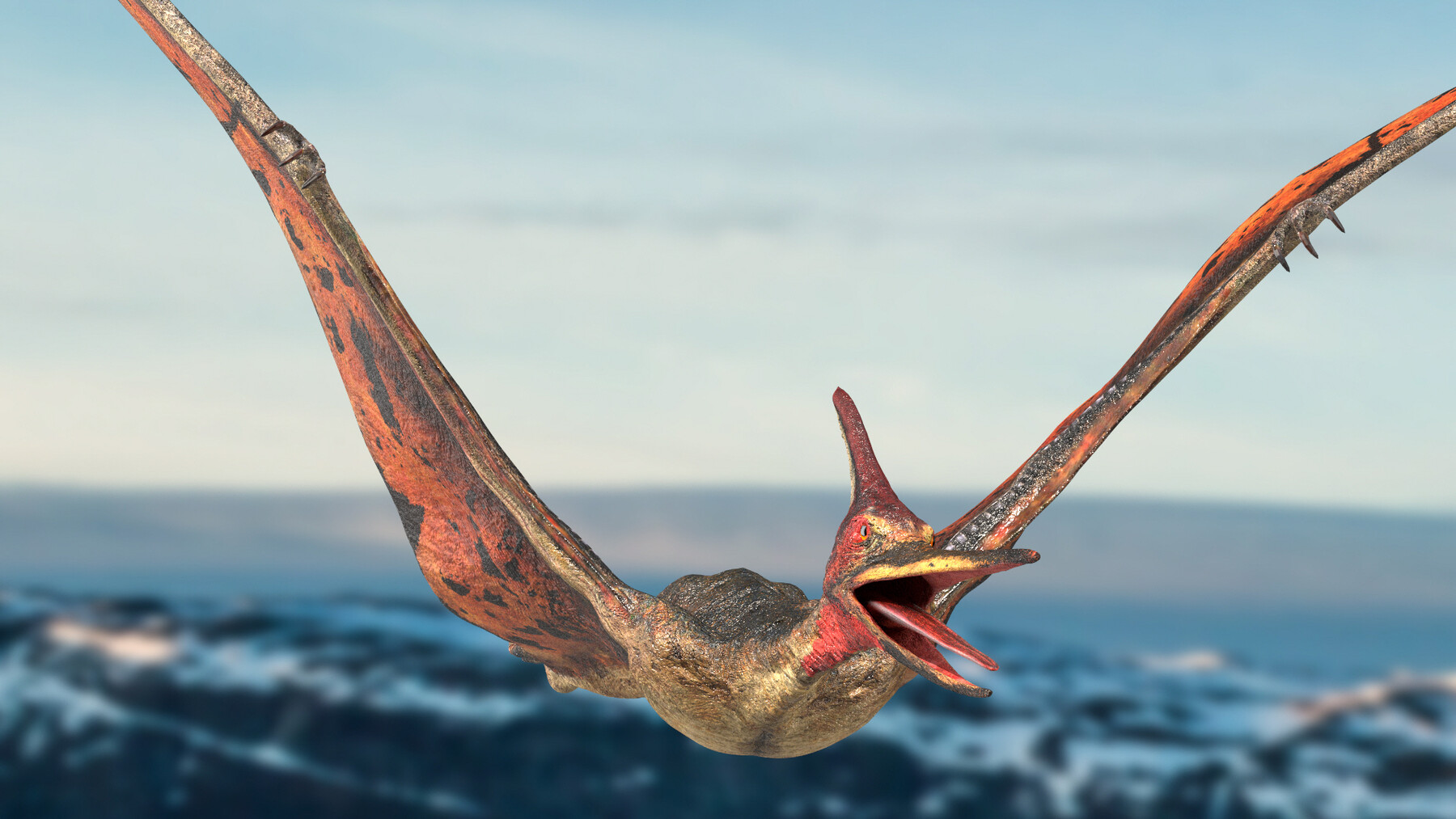 ArtStation - Pteranodon (Rigged) 3D model | Resources
