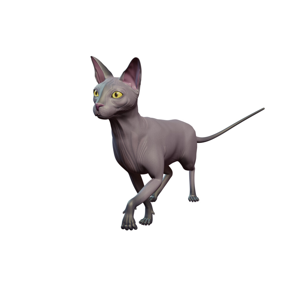 ArtStation - sphynx cat | Game Assets