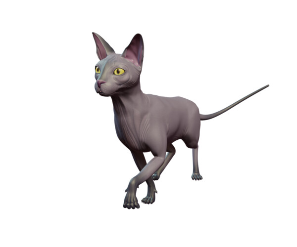 ArtStation - sphynx cat | Game Assets