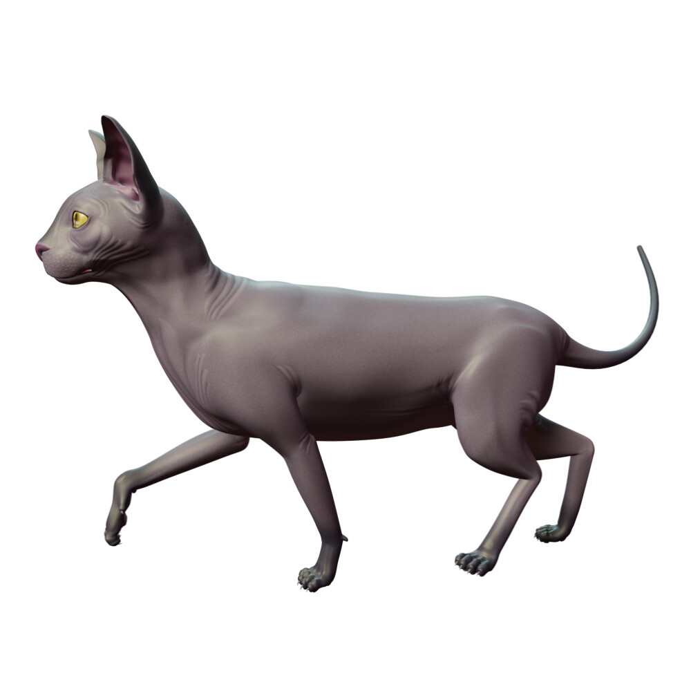 ArtStation - sphynx cat | Game Assets