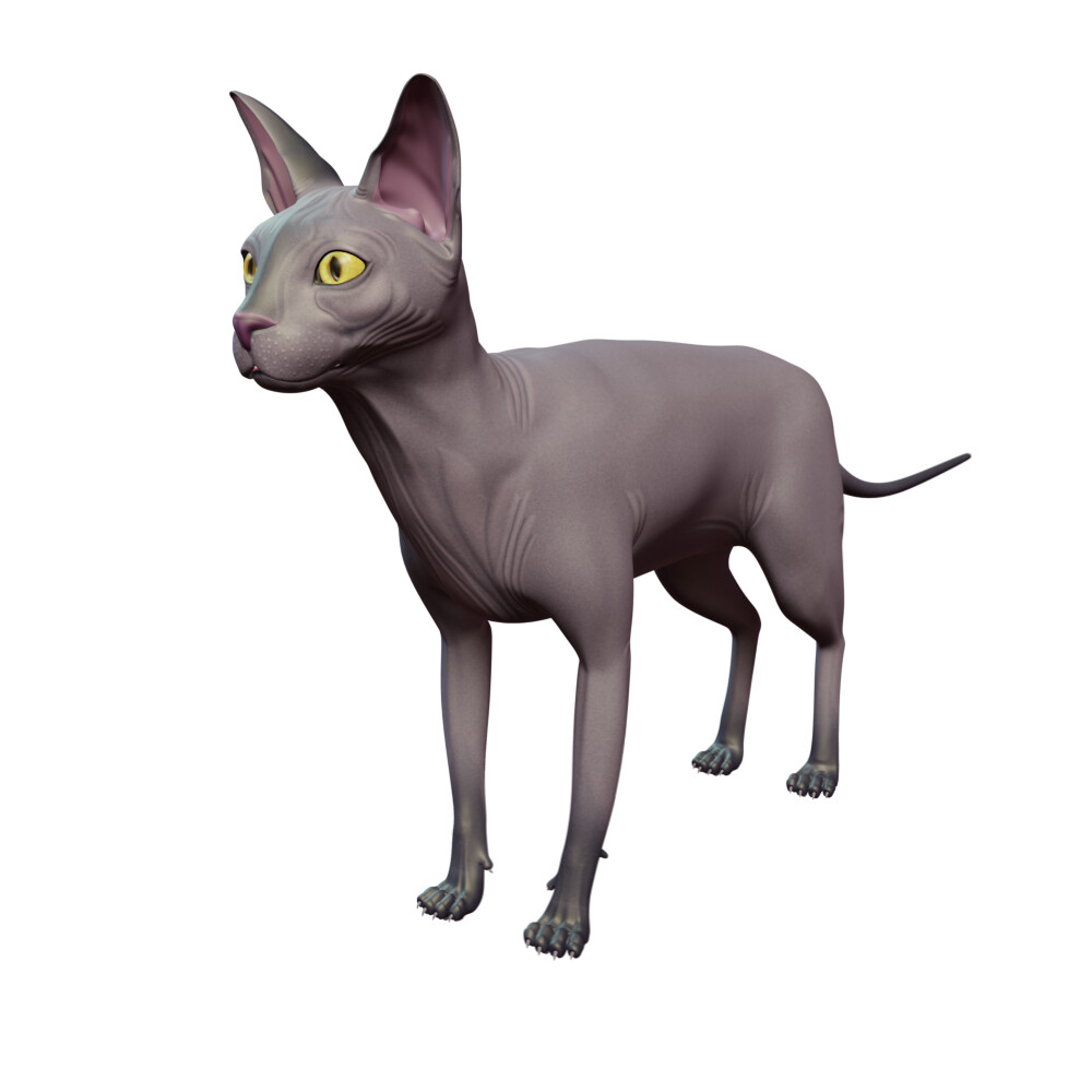 ArtStation - sphynx cat | Game Assets