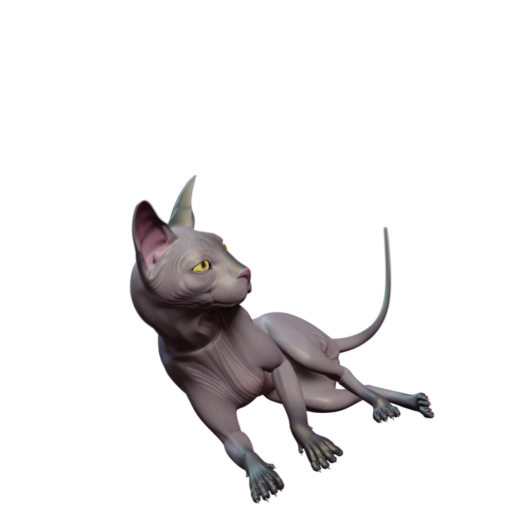 ArtStation - sphynx cat | Game Assets