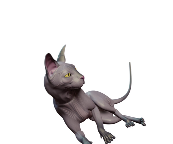 ArtStation - sphynx cat | Game Assets