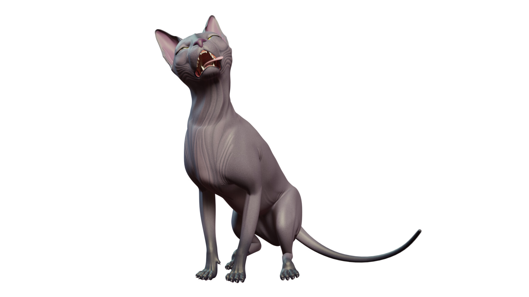 ArtStation - sphynx cat | Game Assets