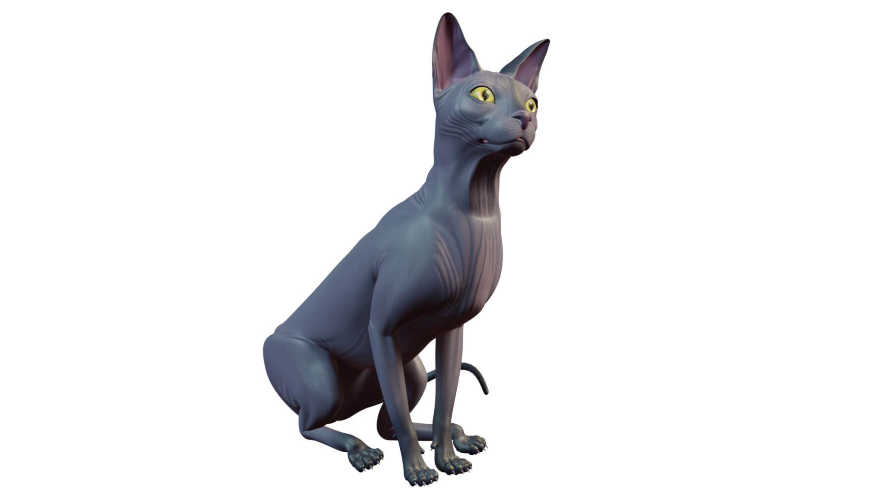 ArtStation - sphynx cat | Game Assets