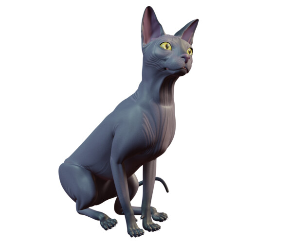 ArtStation - sphynx cat | Game Assets