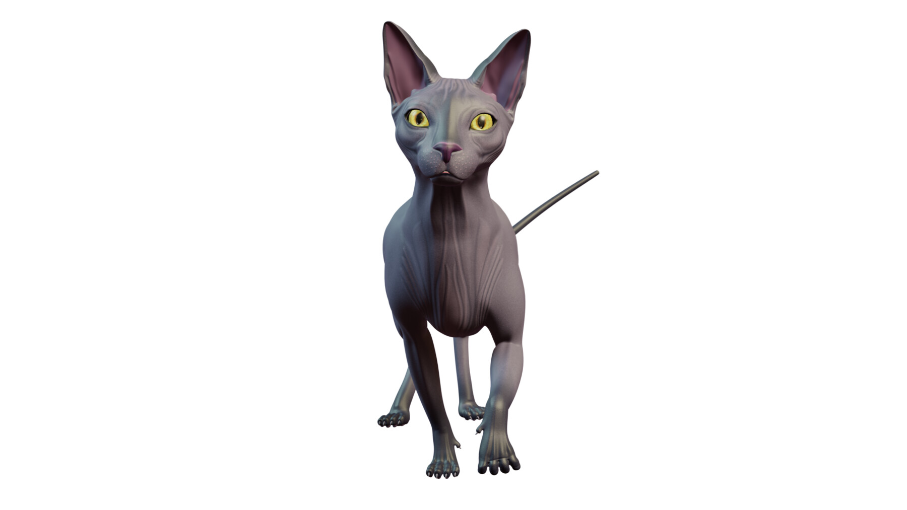 ArtStation - sphynx cat | Game Assets
