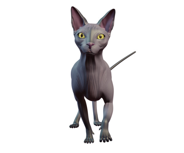 ArtStation - sphynx cat | Game Assets
