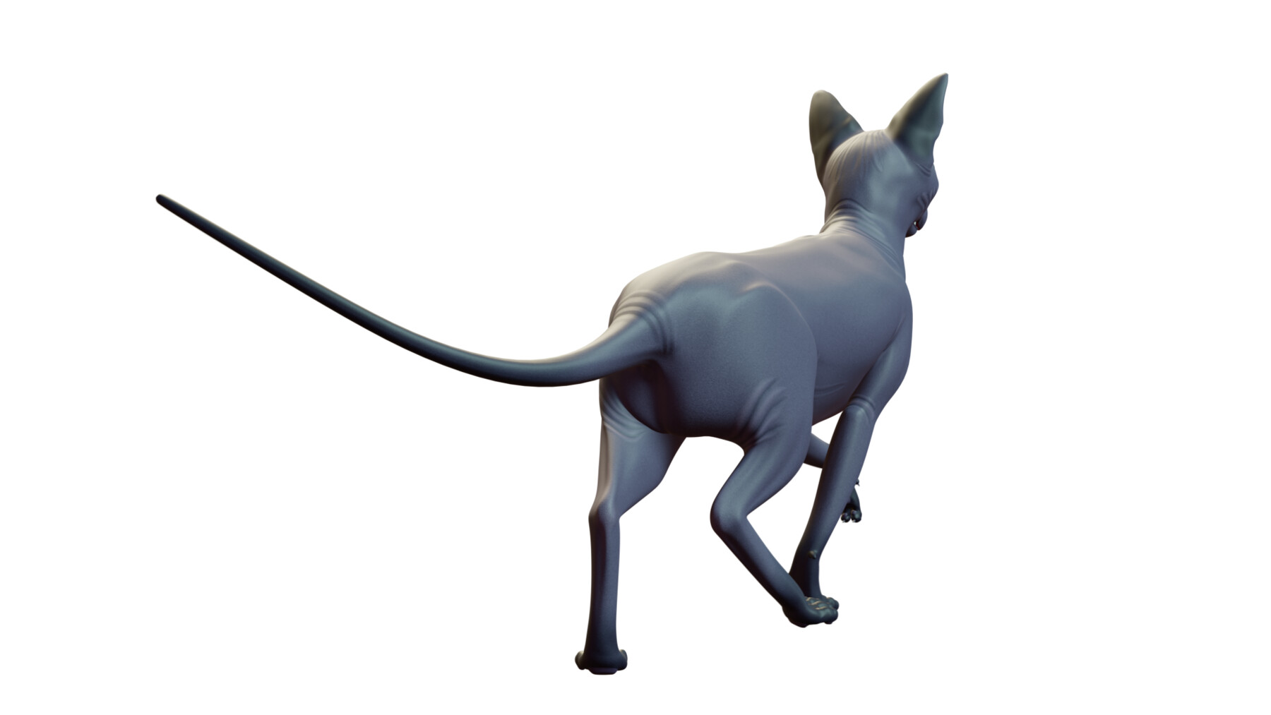 ArtStation - sphynx cat | Game Assets