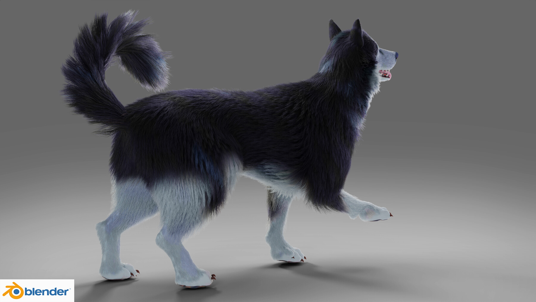 ArtStation - Fur Gray Wolf Rigged and Animated in Blender | Game Assets