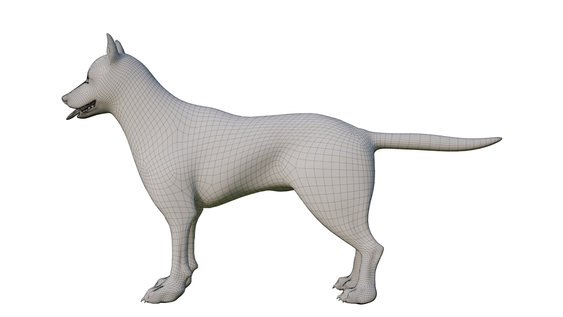 ArtStation - Fur Gray Wolf Rigged and Animated in Blender | Game Assets