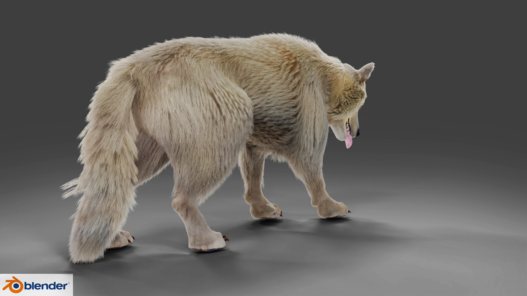 ArtStation - Fur Wolf Rigged and Animation V02 in Blender | Game Assets