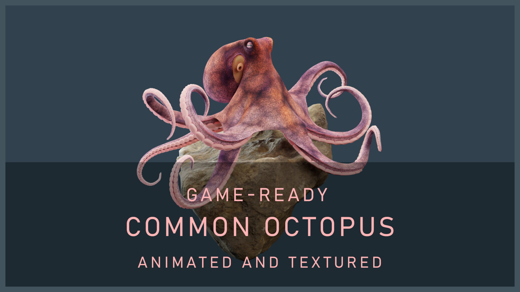 ArtStation - Animated Octopus- Common Octopus | Game Assets