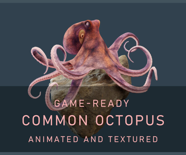 ArtStation - Animated Octopus- Common Octopus | Game Assets