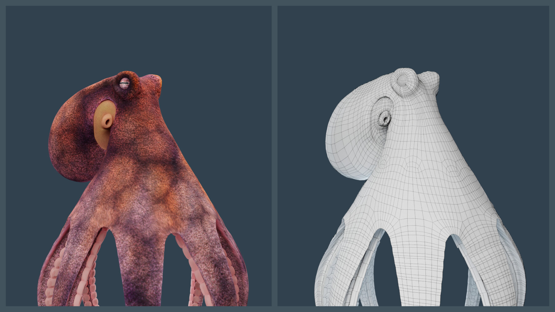 ArtStation - Animated Octopus- Common Octopus | Game Assets