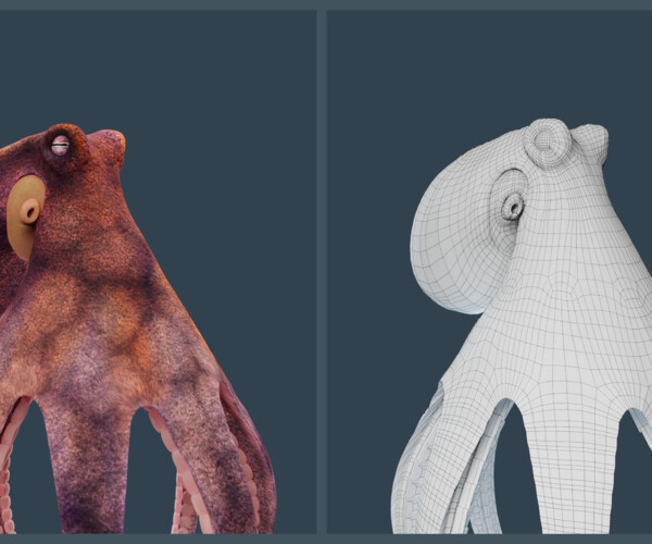 ArtStation - Animated Octopus- Common Octopus | Game Assets