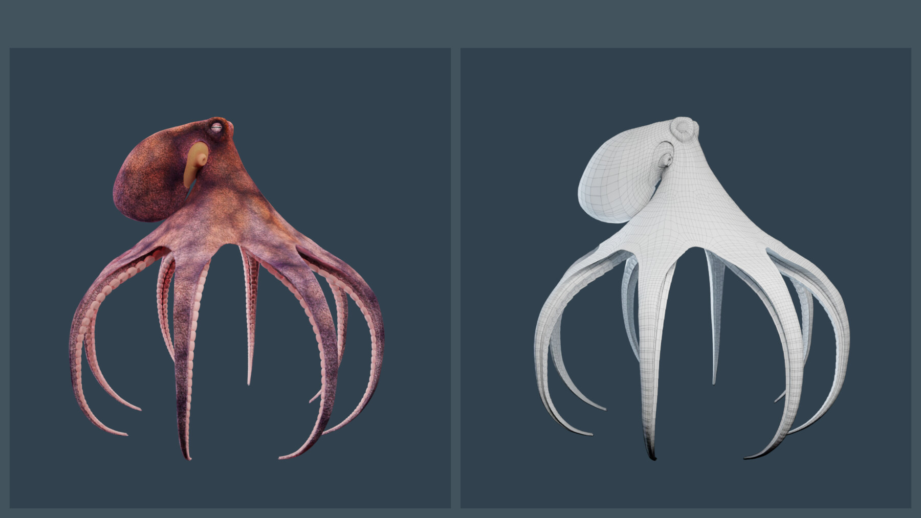 ArtStation - Animated Octopus- Common Octopus | Game Assets