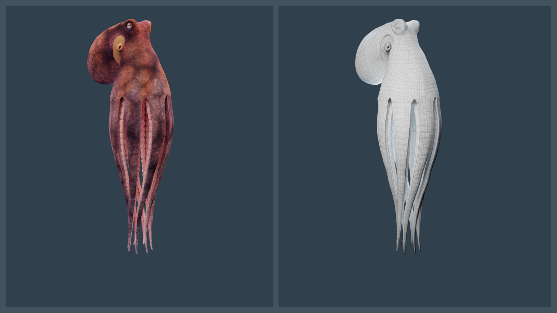 ArtStation - Animated Octopus- Common Octopus | Game Assets