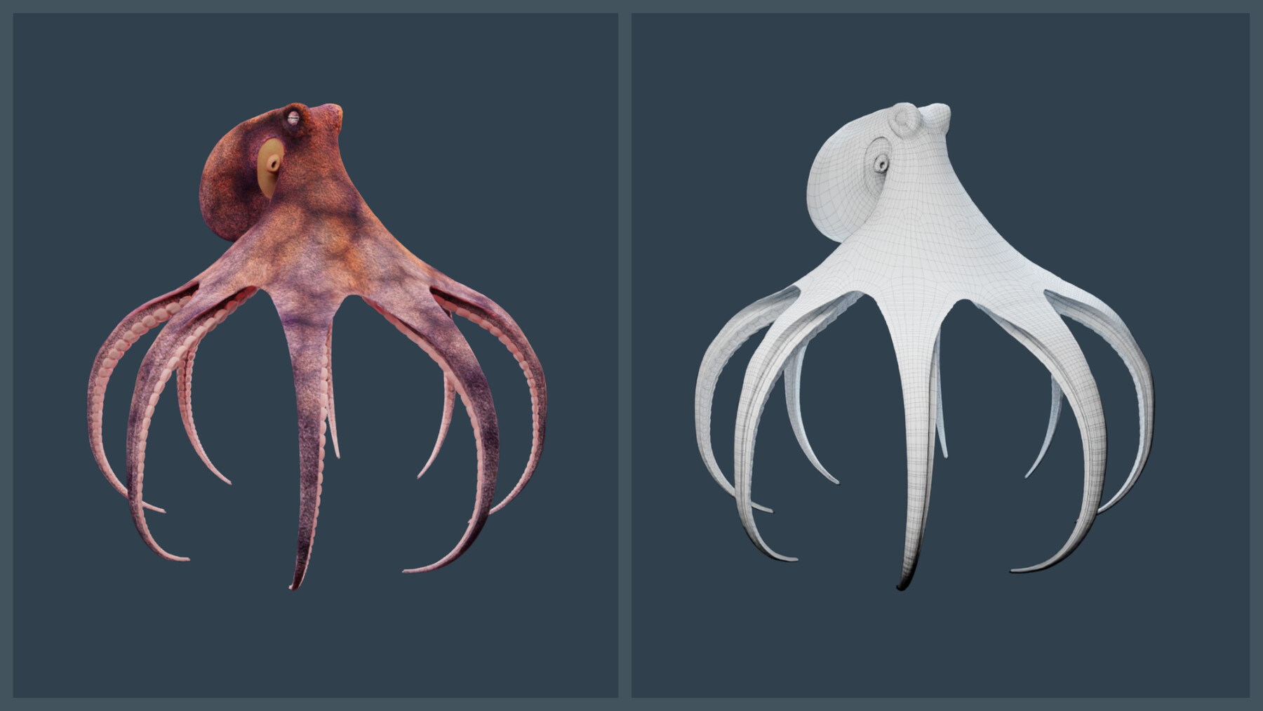 ArtStation - Animated Octopus- Common Octopus | Game Assets
