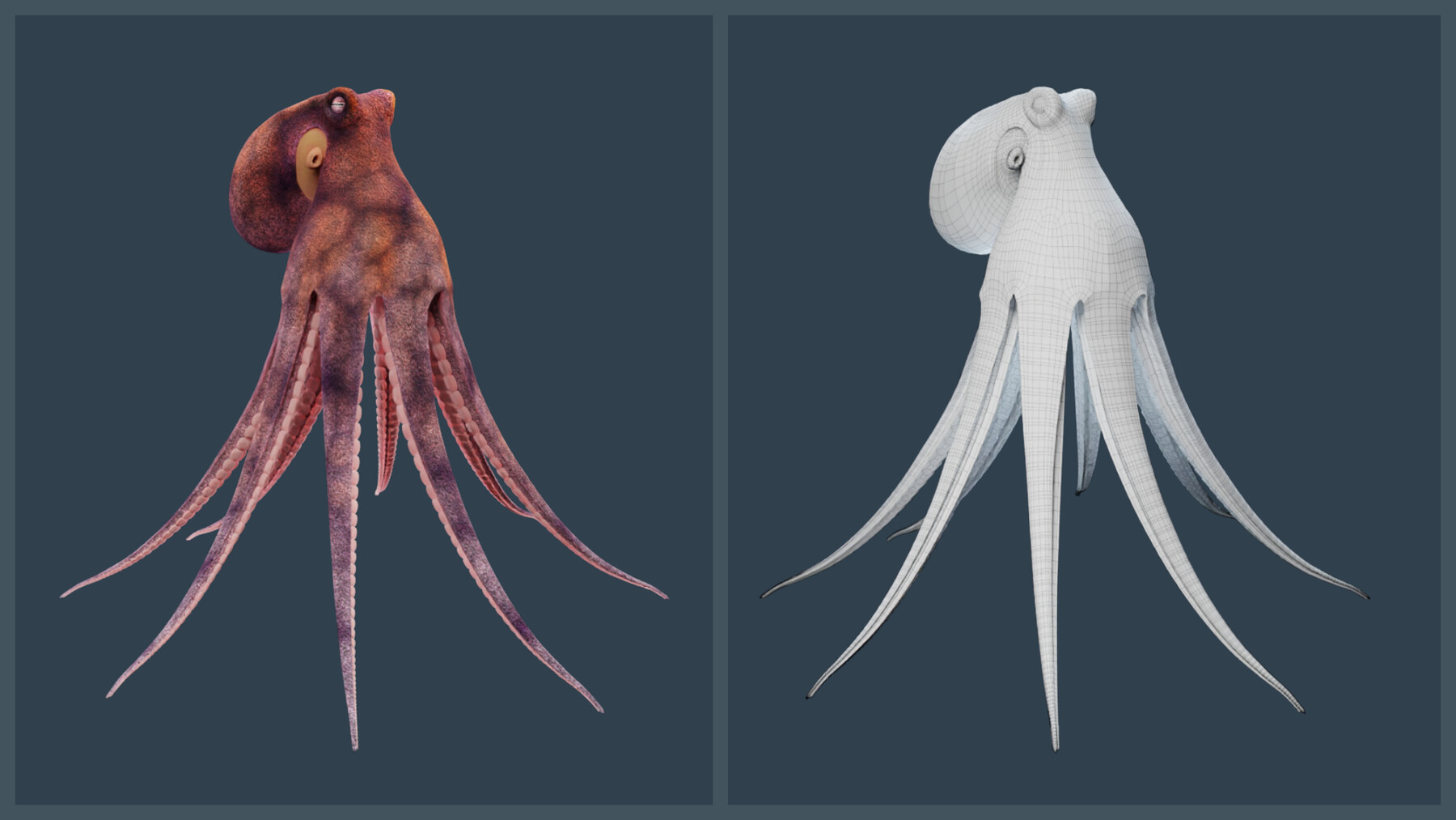 ArtStation - Animated Octopus- Common Octopus | Game Assets