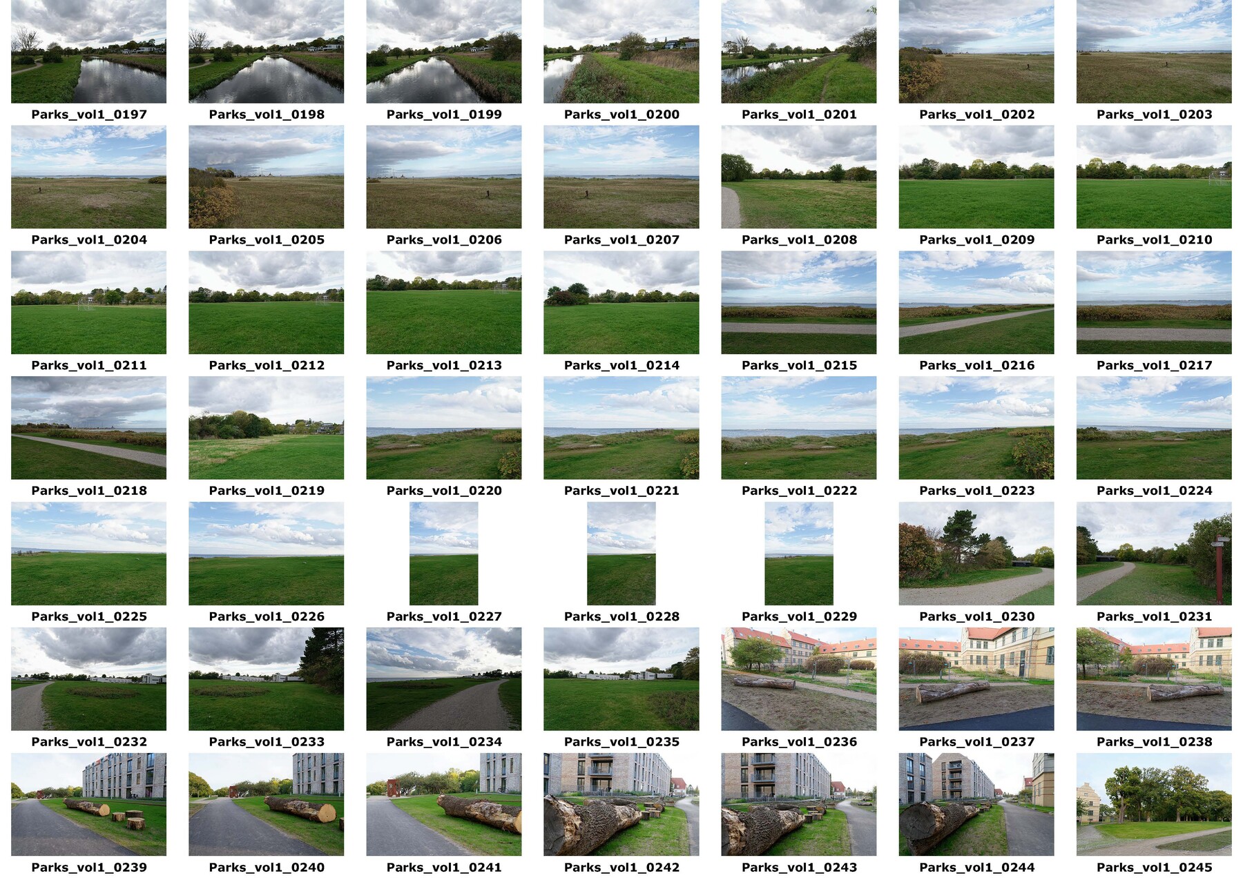 ArtStation - PARKS VOL 1 / Photo Reference / 401 images | Resources