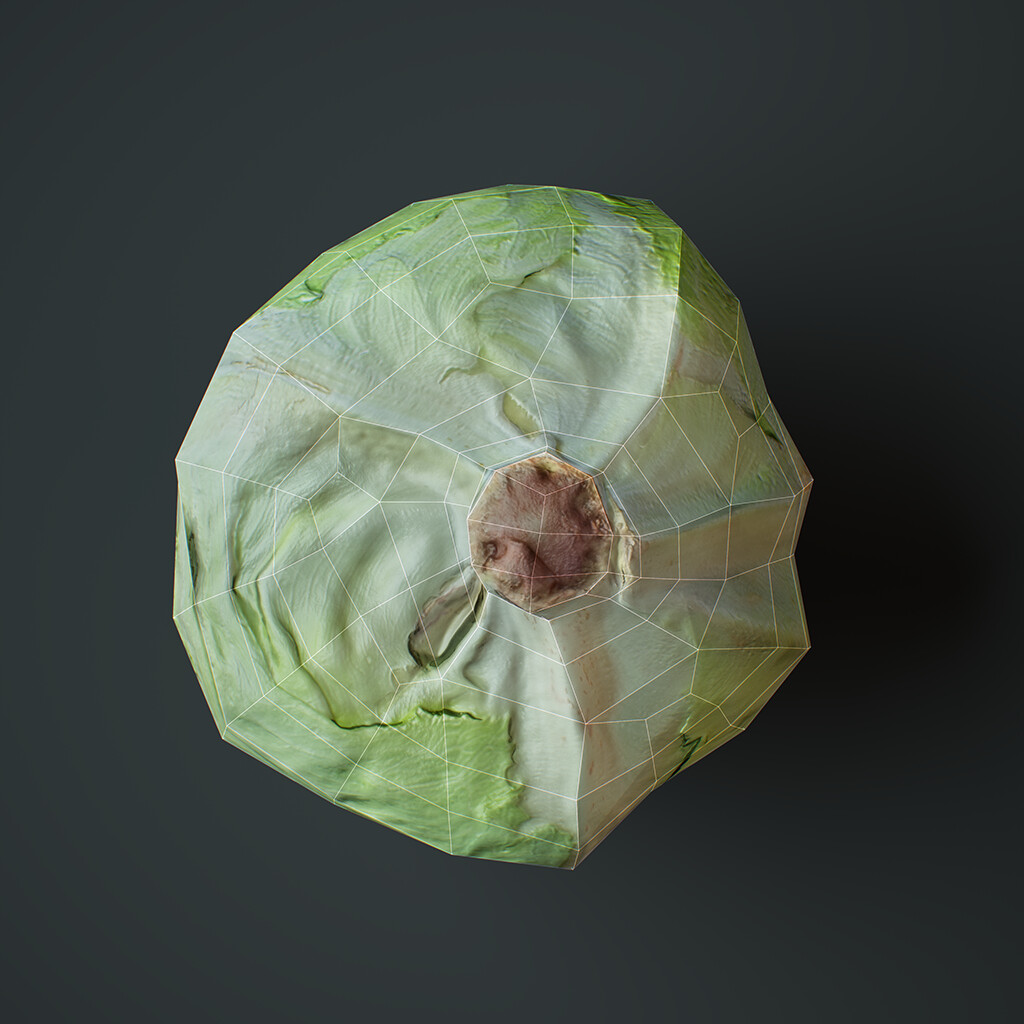 ArtStation - Iceberg lettuce | Game Assets