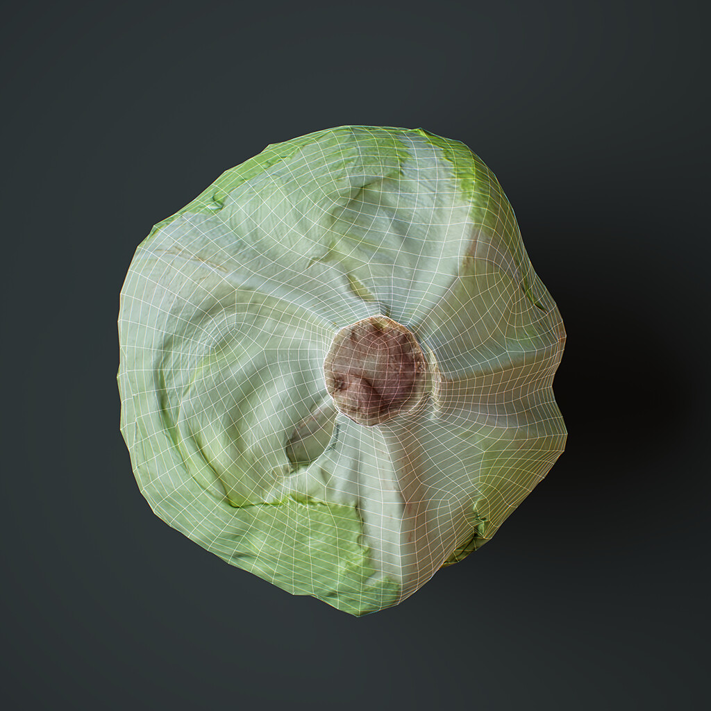 ArtStation - Iceberg lettuce | Game Assets