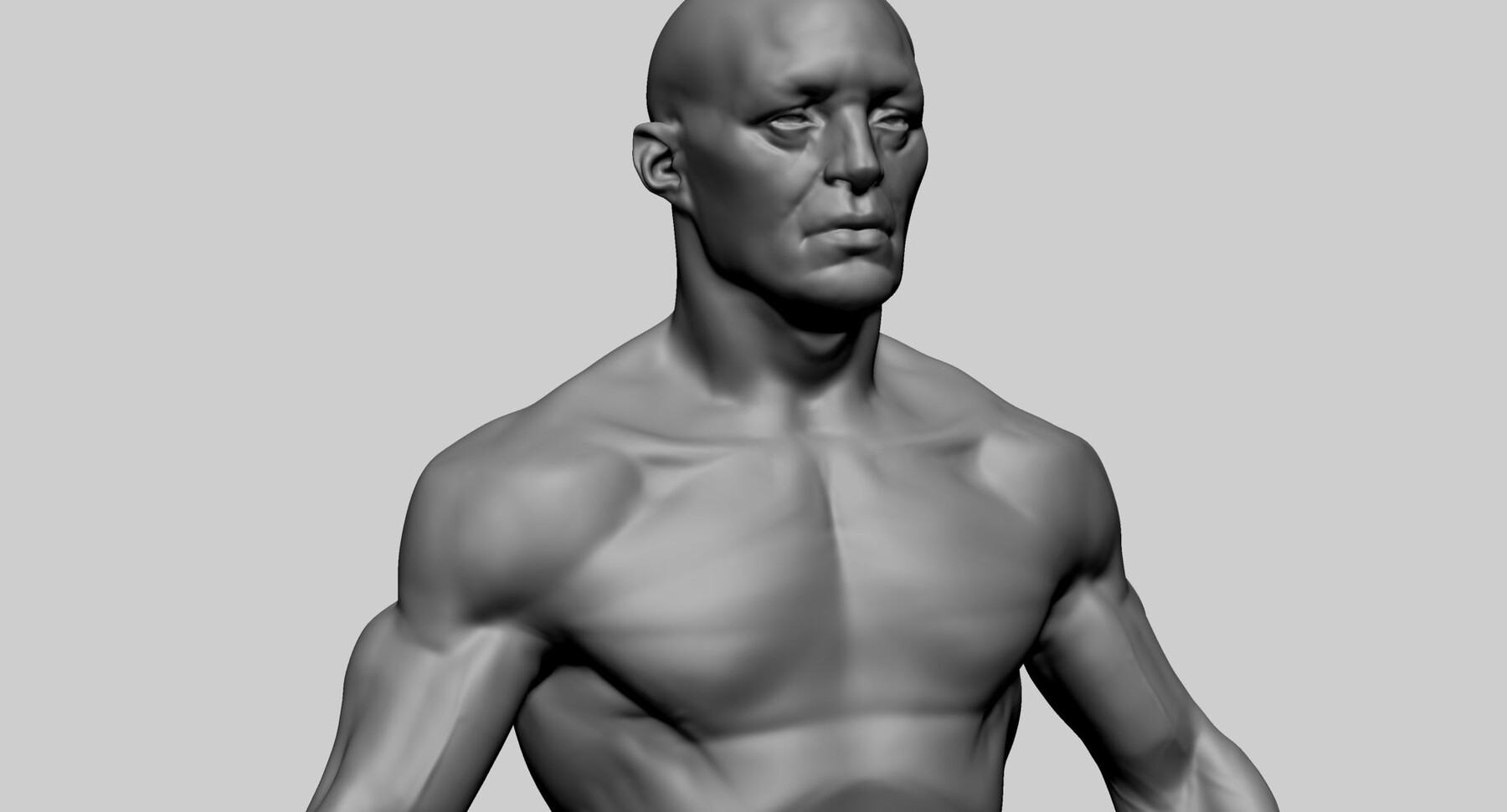 ArtStation - Male Anatomy | Resources